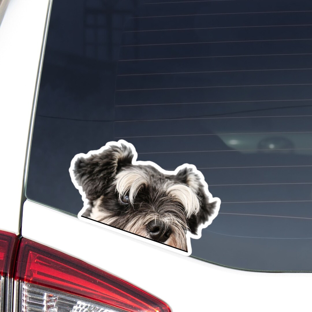 Black&silver Miniature Schnauzer Car Decal Sticker / Peeking Realistic ...