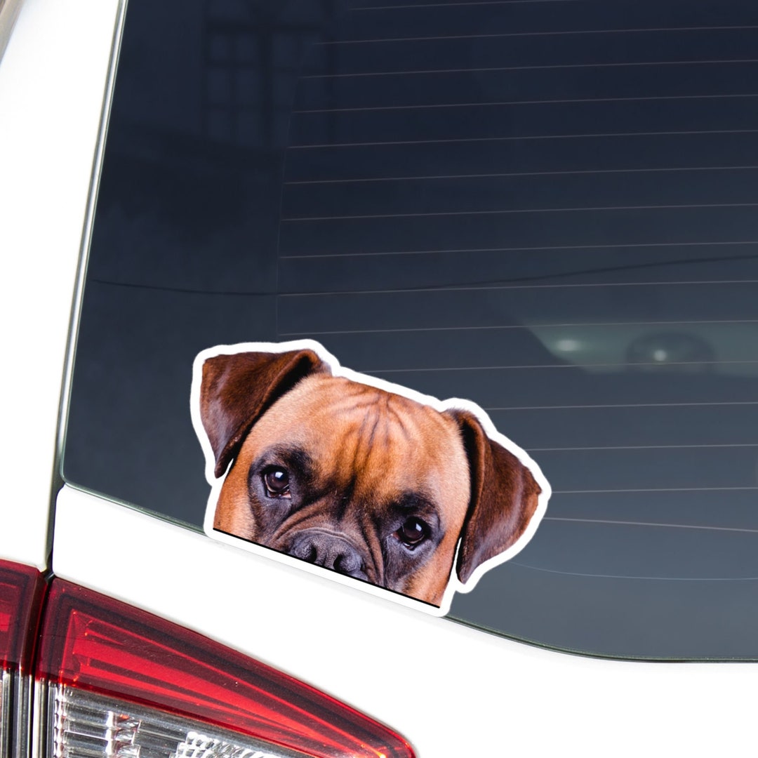 Peeking Boxer Car Decal - Red Fawn Dog, Waterproof Vinyl Sticker - Etsy