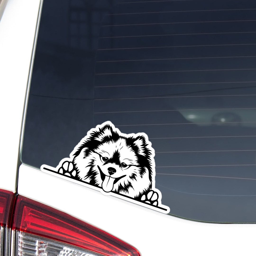 Pomeranian Dog Car Decal - Peeking Pom Waterproof Vinyl Sticker - Etsy