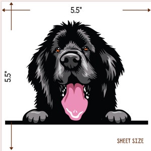 Peeking Newfoundland Car Decal Sticker / Realistic Black Dog Head Face ...