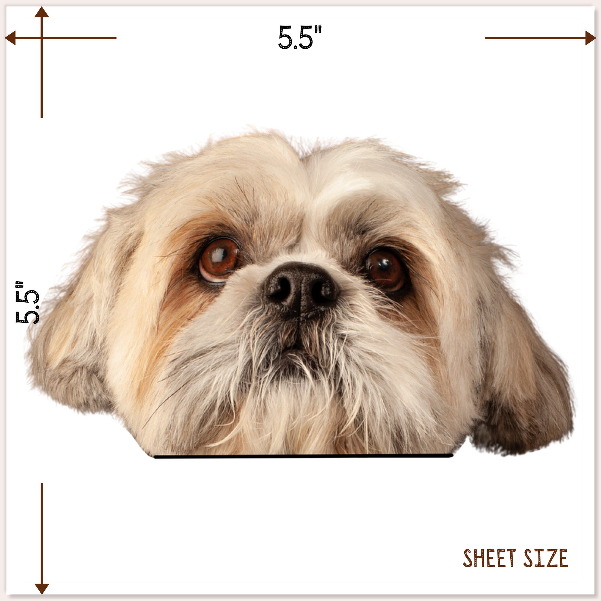 Gold Shih Tzu Car Decal Sticker / Peeking Photo Shih Tzu Dog - Etsy