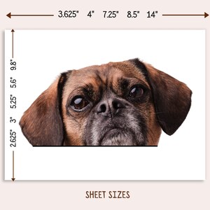 Peeking Red Puggle Car Decal Sticker / Realistic Puggle Dog Head ...