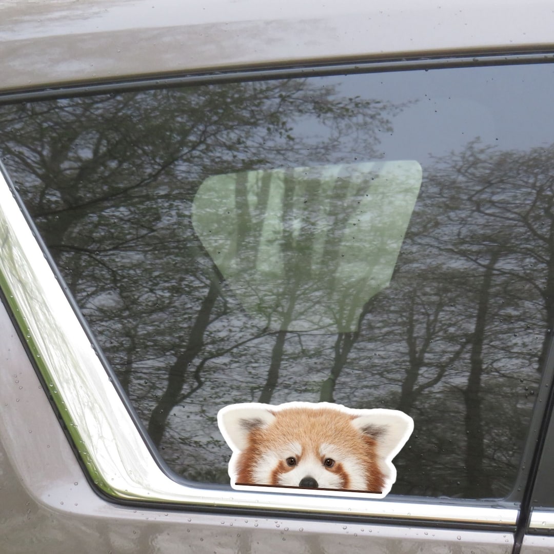 Peeking Red Panda Car Decal / Kawaii Cute Little Spy Panda Car Sticker ...