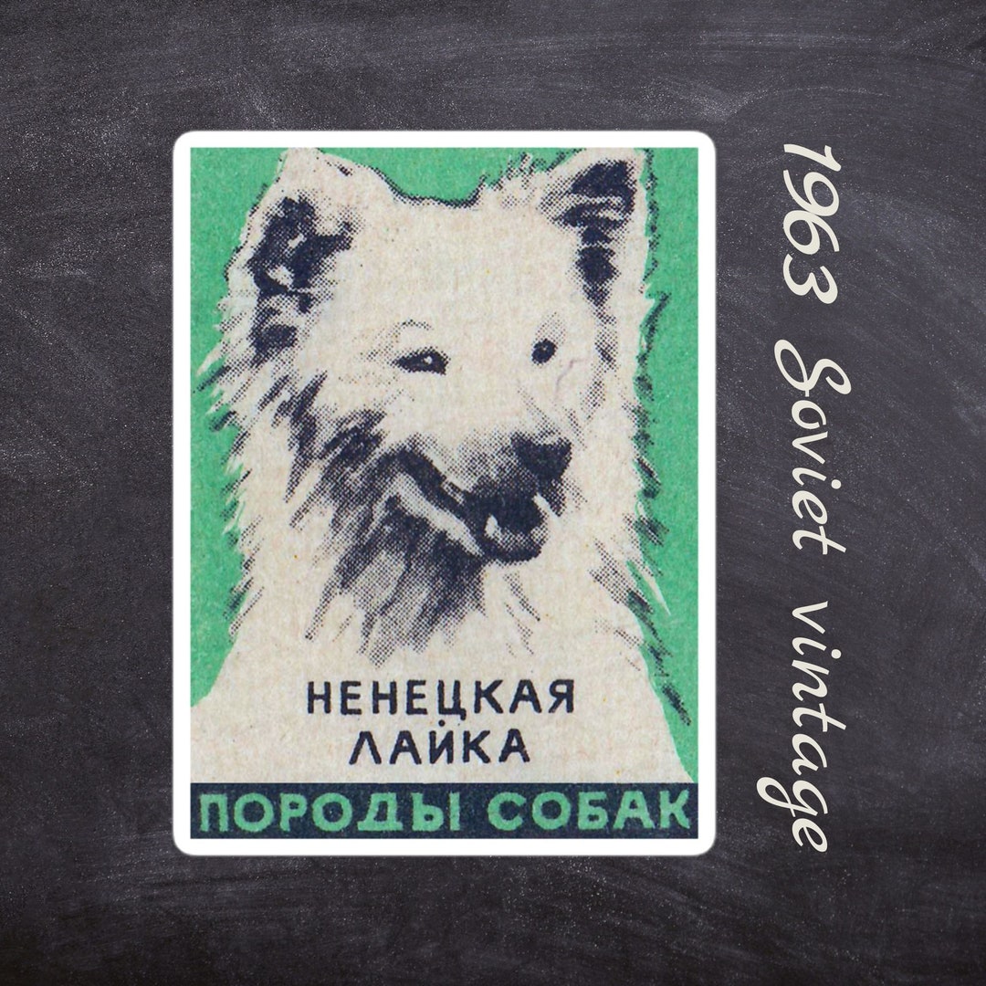 Nenets Laika Sticker Of Soviet Era Matchbox / Dog Breeds Waterproof ...