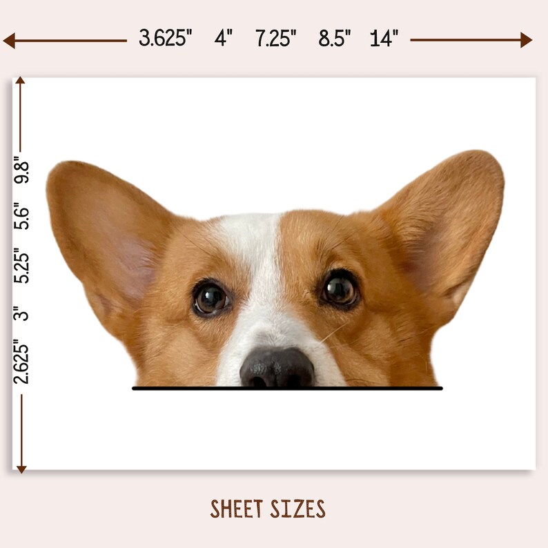 Red Corgi Car Sticker Decal / Peeking Cardigan Welsh Corgi - Etsy