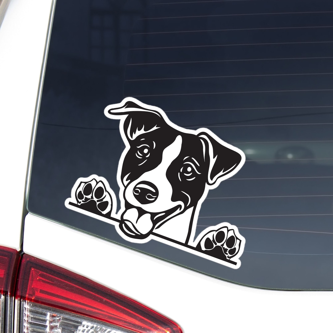 White Jack Russell Terrier Car Decal Sticker / Realistic Peeking Dog ...