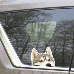 Realistic Gray Husky Sticker Decal / Peeking Siberian Husky Face Window ...