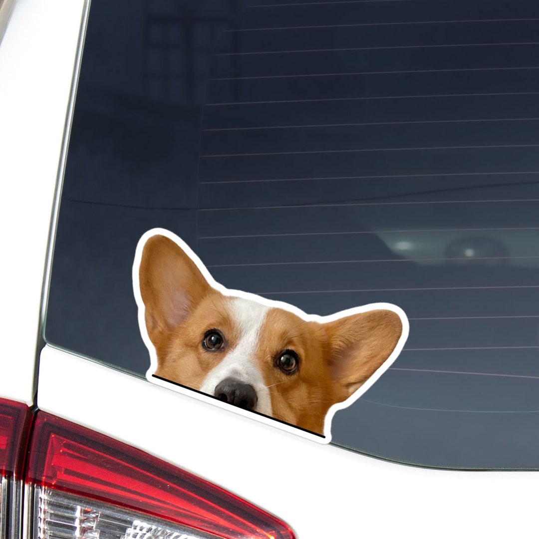 Red Corgi Car Sticker Decal / Peeking Cardigan Welsh Corgi Head / Vinyl ...