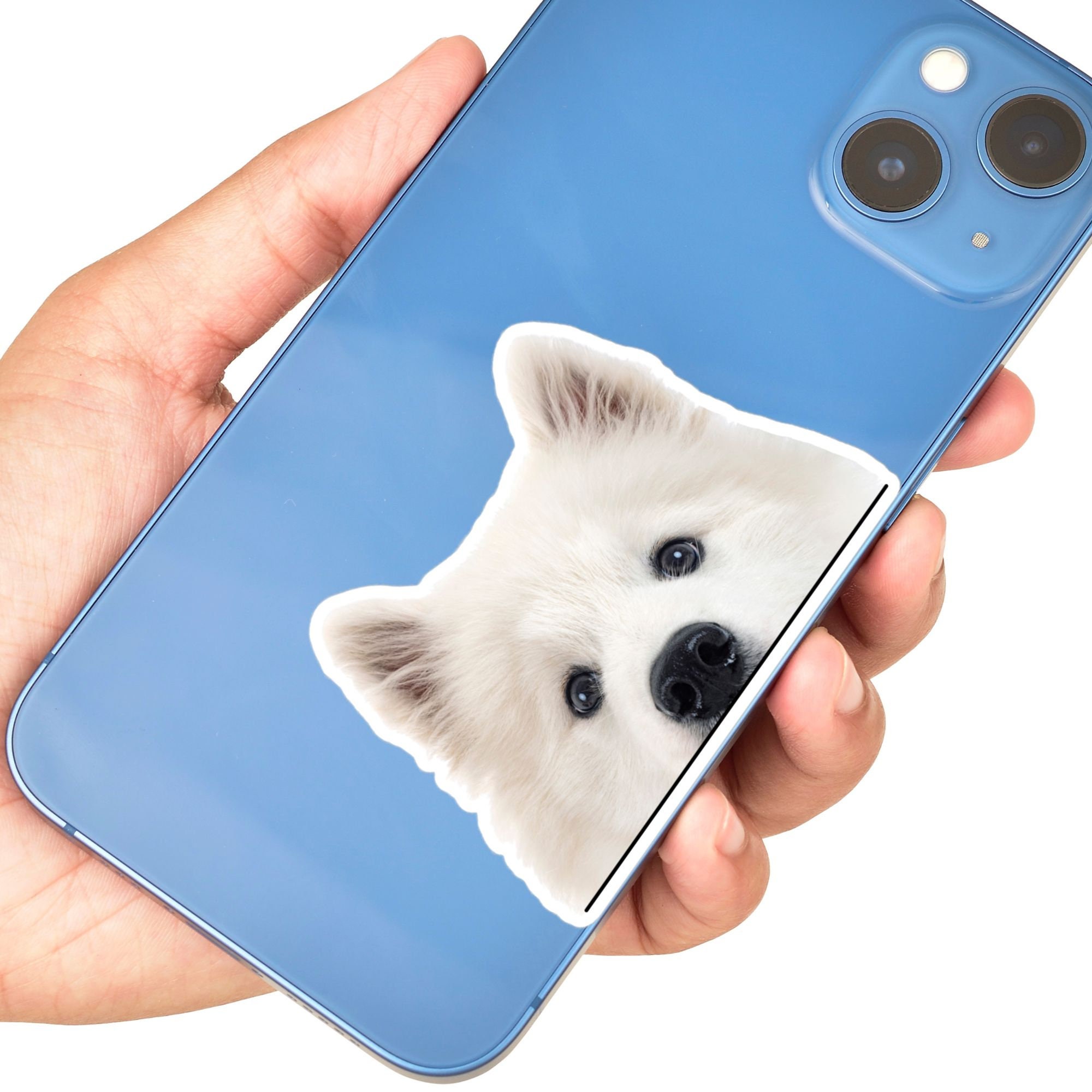 Realistic Samoyed Car Decal Sticker / Kawaii Peeking Samoyed - Etsy