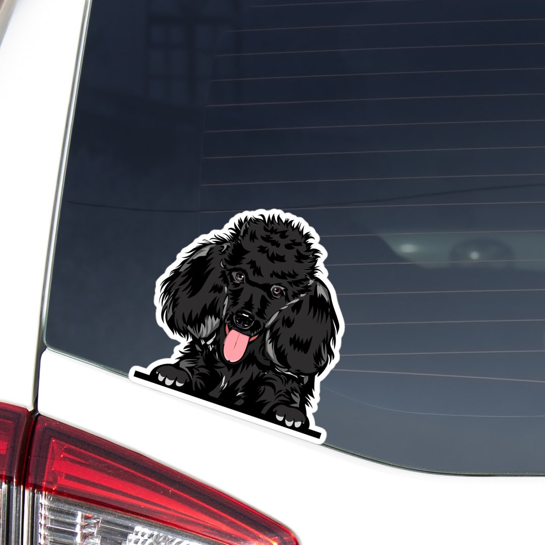 Peeking Poodle Car Decal Sticker / Realistic Black Poodle Dog / Vinyl ...