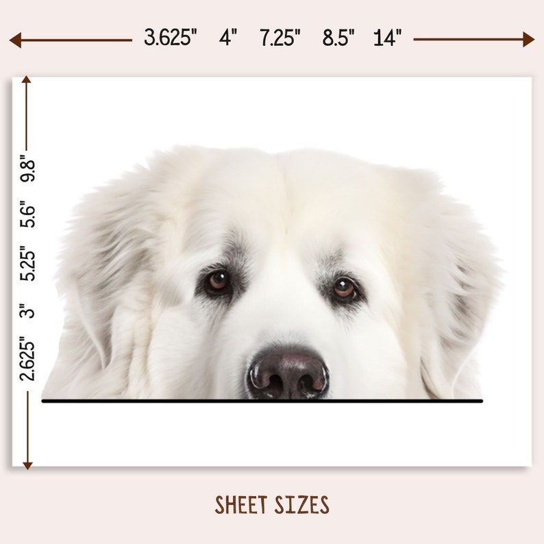 Great Pyrenees Car Decal - Peeking White Pyrenees Mountain, Waterproof ...