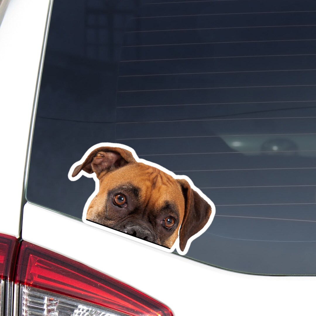 Peeking Boxer Car Decal Sticker / Realistic Brown Boxer Dog Head Face ...