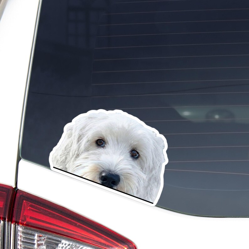 White Bernedoodle Car Decal: Peeking Dog Head Waterproof Sticker - Etsy ...