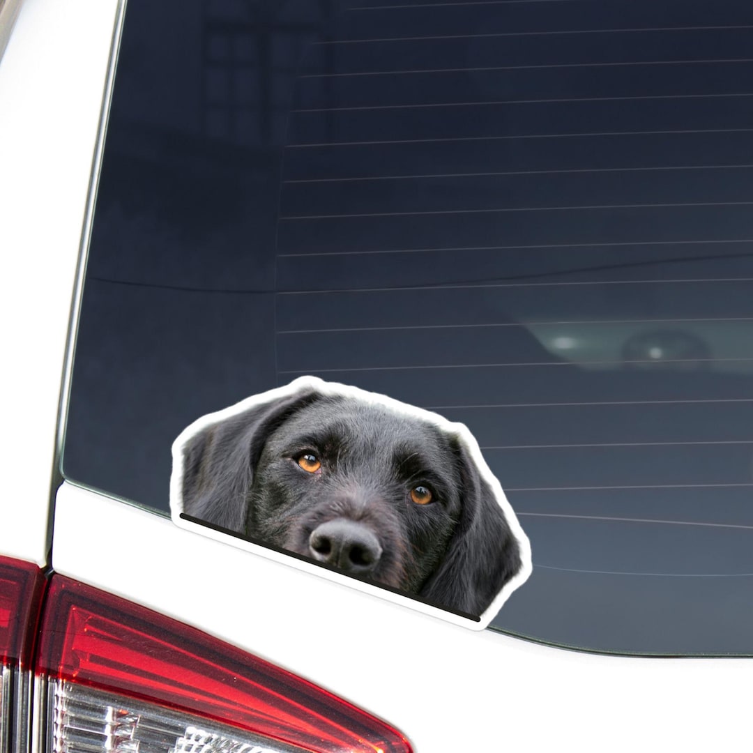 German Wirehaired Pointer Car Decal: Peeking Black GWP Dog Head ...