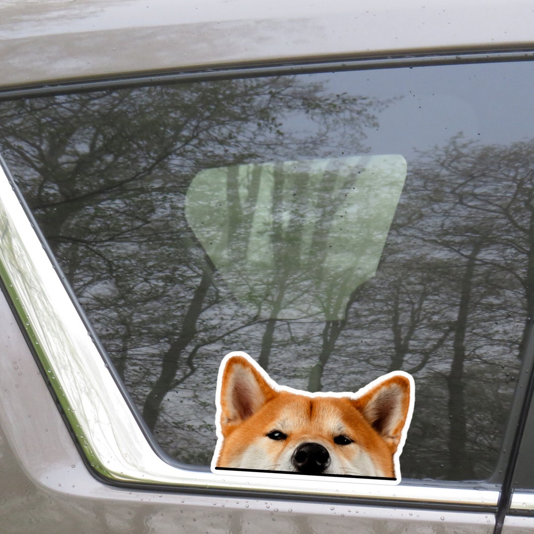 Peeking Red Shiba Inu Car Decal Sticker / Realistic Shiba Inu Dog Vinyl ...