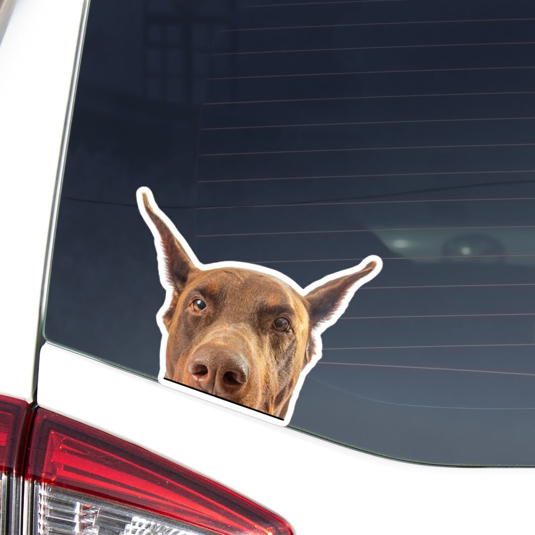 Doberman Pinscher Car Decal Sticker / Peeking Realistic Red Dobbie Head ...
