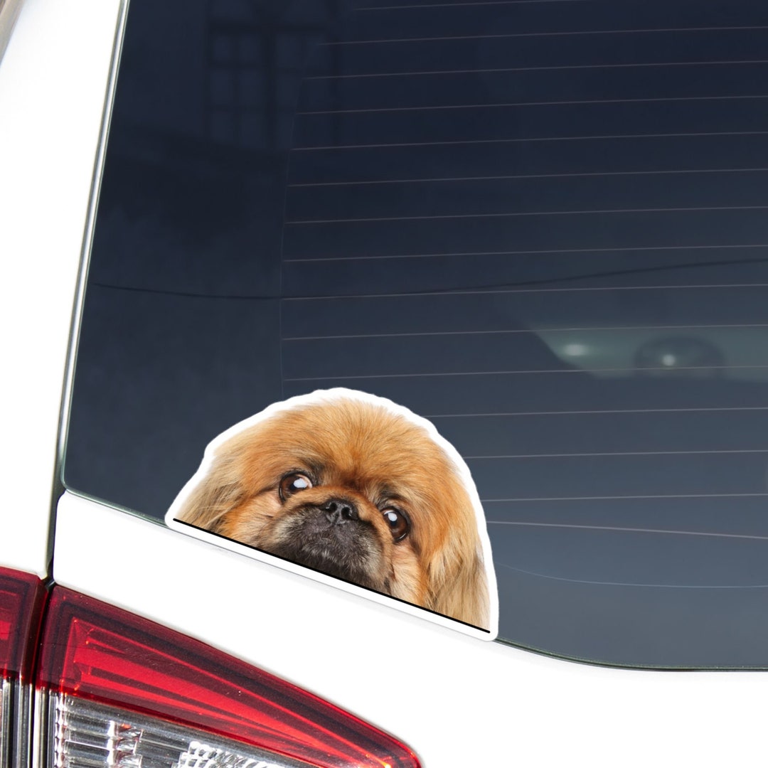 Peeking Red Pekingese Car Decal Sticker / Realistic Pekinese Dog Head ...