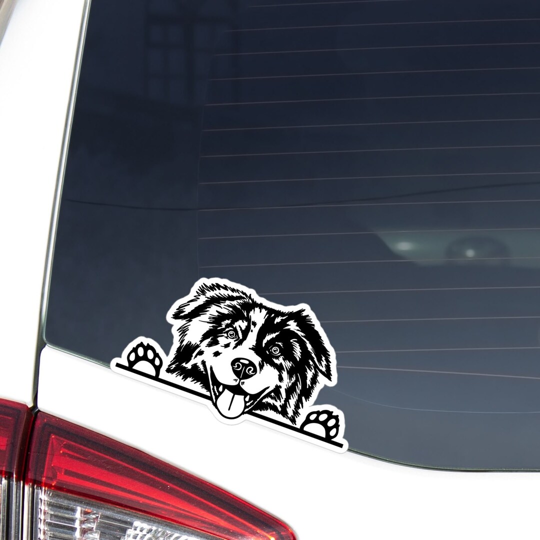 Custom Australian Shepherd Car Sticker Decal / Personalized Peeking ...