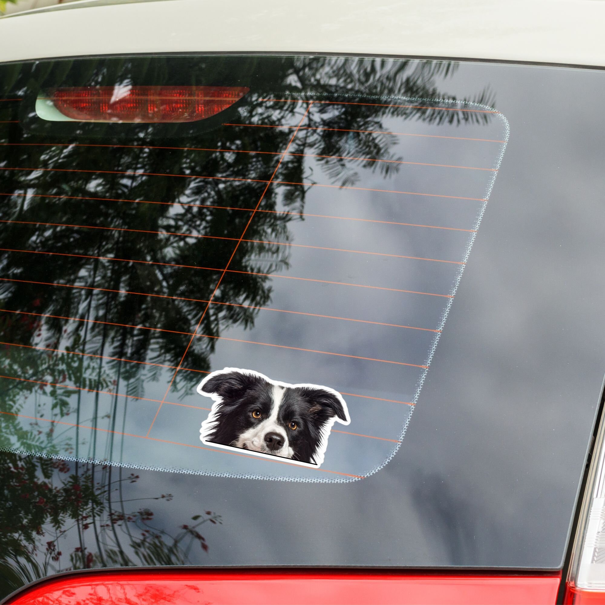 Peeking Border Collie Car Sticker Decal / Realistic Black&white Dog ...