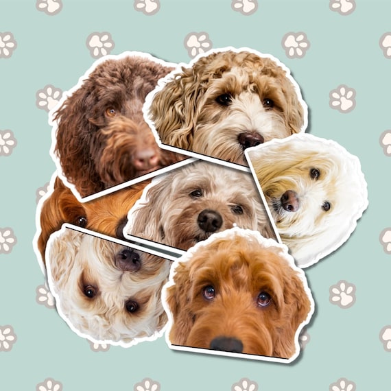 Peeking Golden Doodle Car Decal Sticker / Golden Doodle Dog - Etsy
