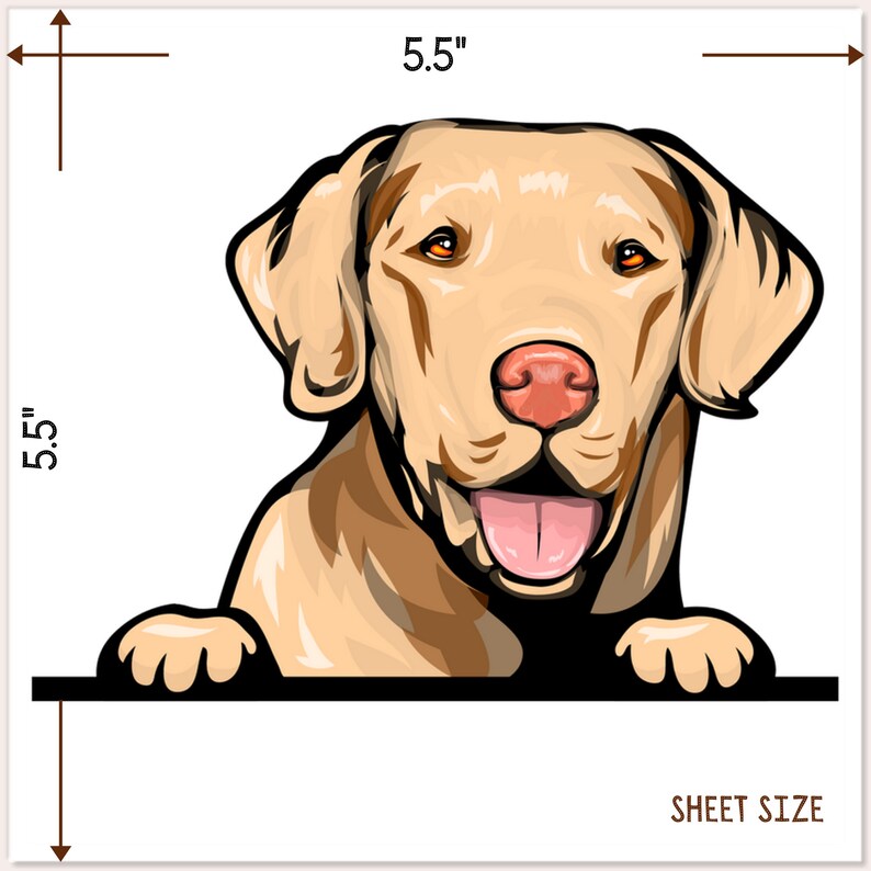 Peeking Labrador Car Decal Sticker / Golden Labrador in | Etsy