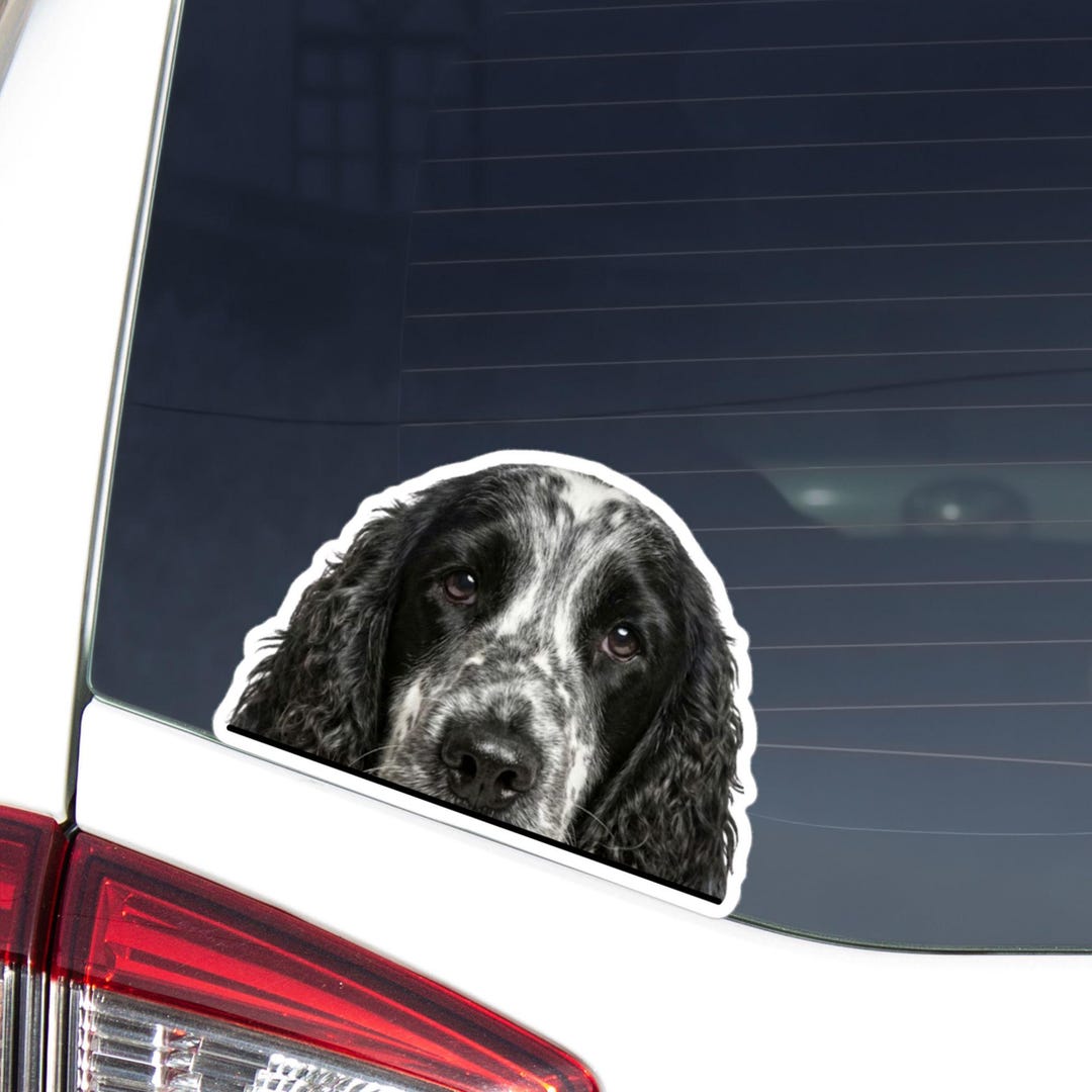 Blue Roan Field Spaniel Car Decal: Personalization Peeking Dog Head ...