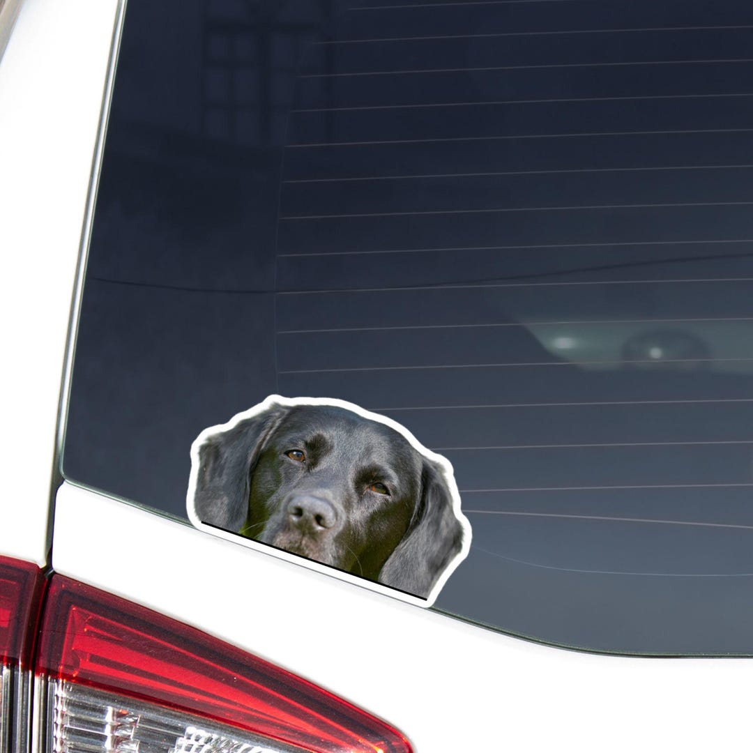 Labrador Car Decal Sticker / Peeking Reaistic Black Lab Dog Head Face ...
