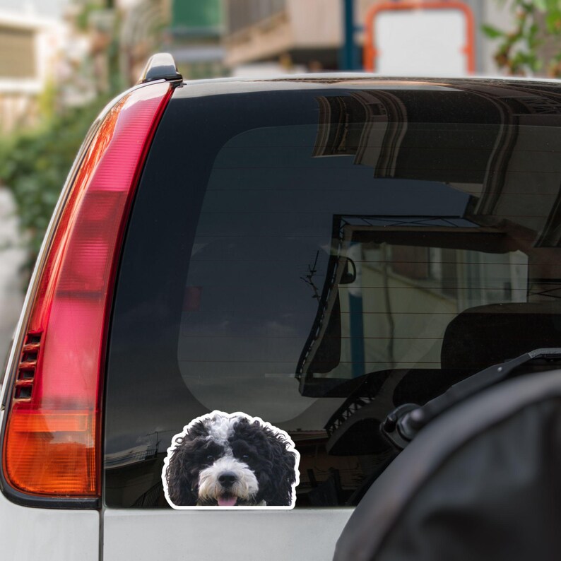 Black White Cavapoo Car Decal Sticker / Peeking Realistic Cavapoo Dog ...
