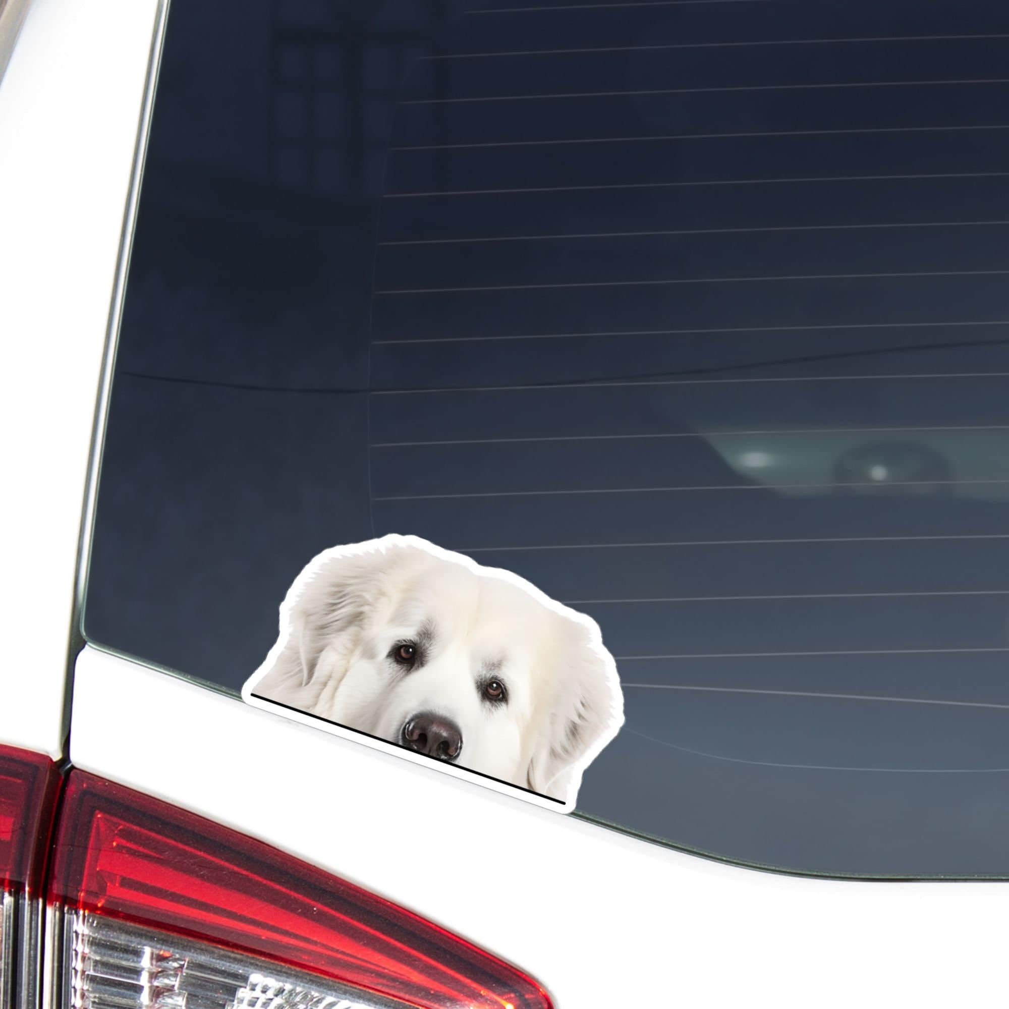 Great Pyrenees Car Decal - Peeking White Pyrenees Mountain, Waterproof ...