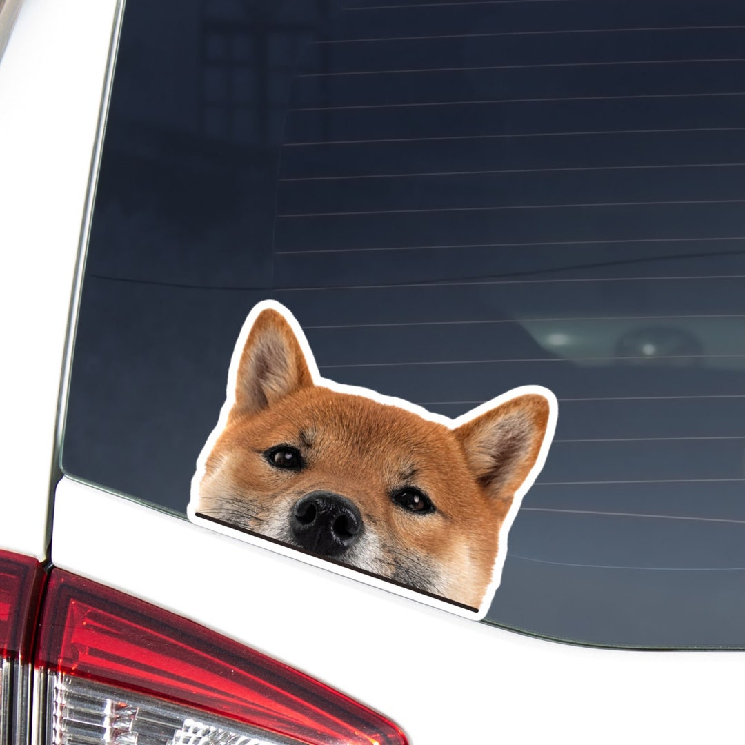 Peeking Red Shiba Inu Car Decal Sticker / Realistic Shiba Inu Dog Head ...