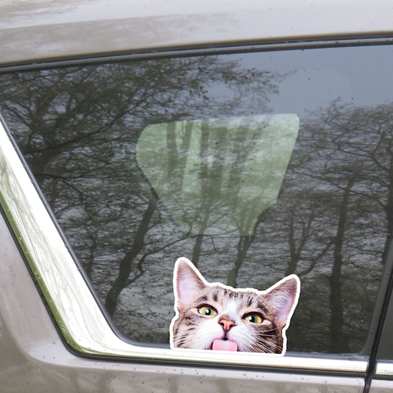 Peeking Cat Car Sticker Decal / Cat Looking Out of Car Window - Etsy