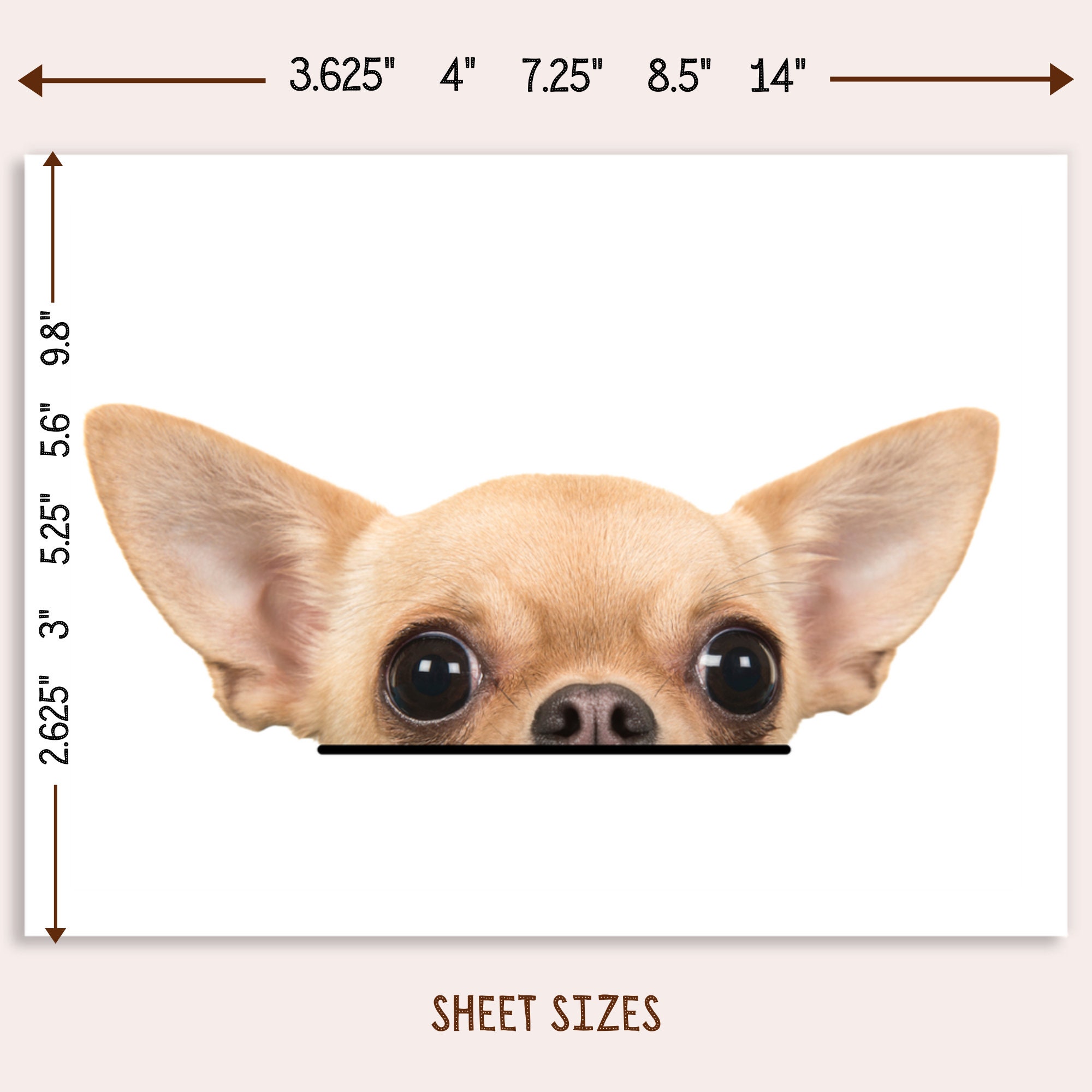 Peeking Chihuahua Car Decal Sticker / Realistic Cream - Etsy