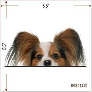 White Red Papillon Car Decal Sticker / Peeking Realistic Dog Head ...