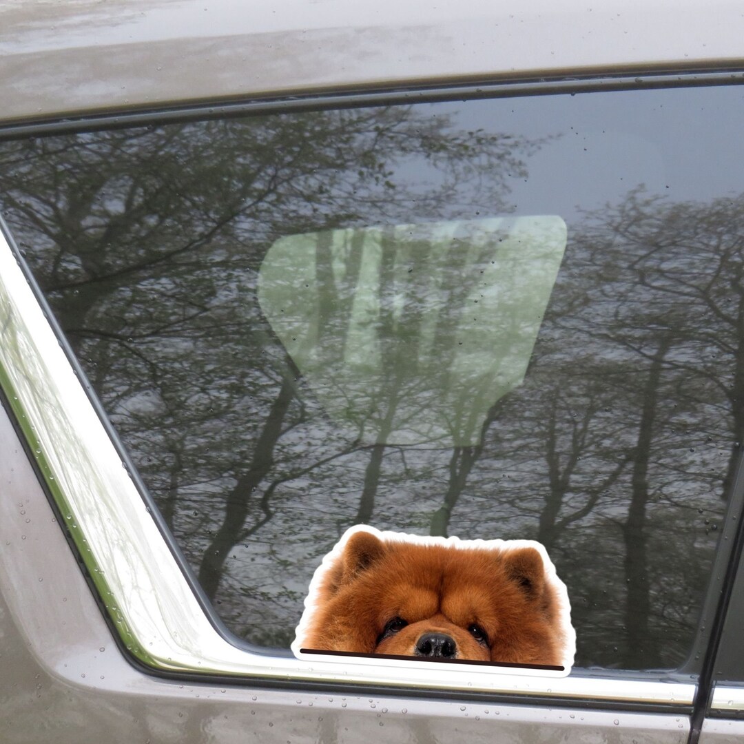 Peeking Red Chow Chow Car Decal / Realistic Dog Head Car Sticker ...
