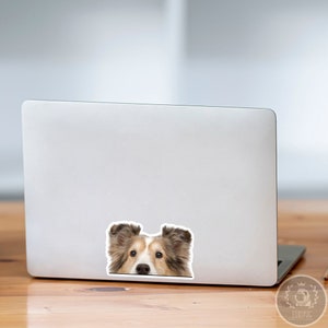 Light Sable Shetland Sheepdog Car Decal Sticker / Peeking Realistic ...