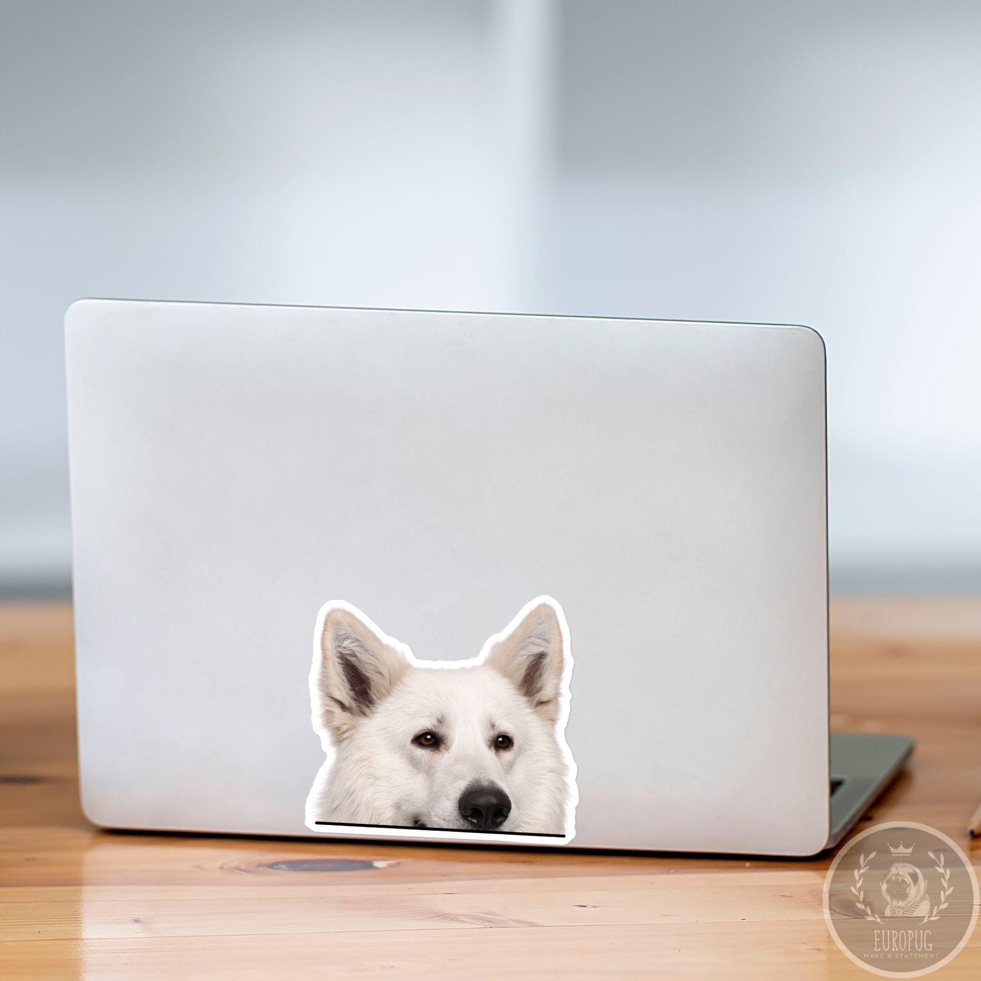 Berger Blanc Suisse Car Decal Sticker / Peeking Realistic White Dog ...