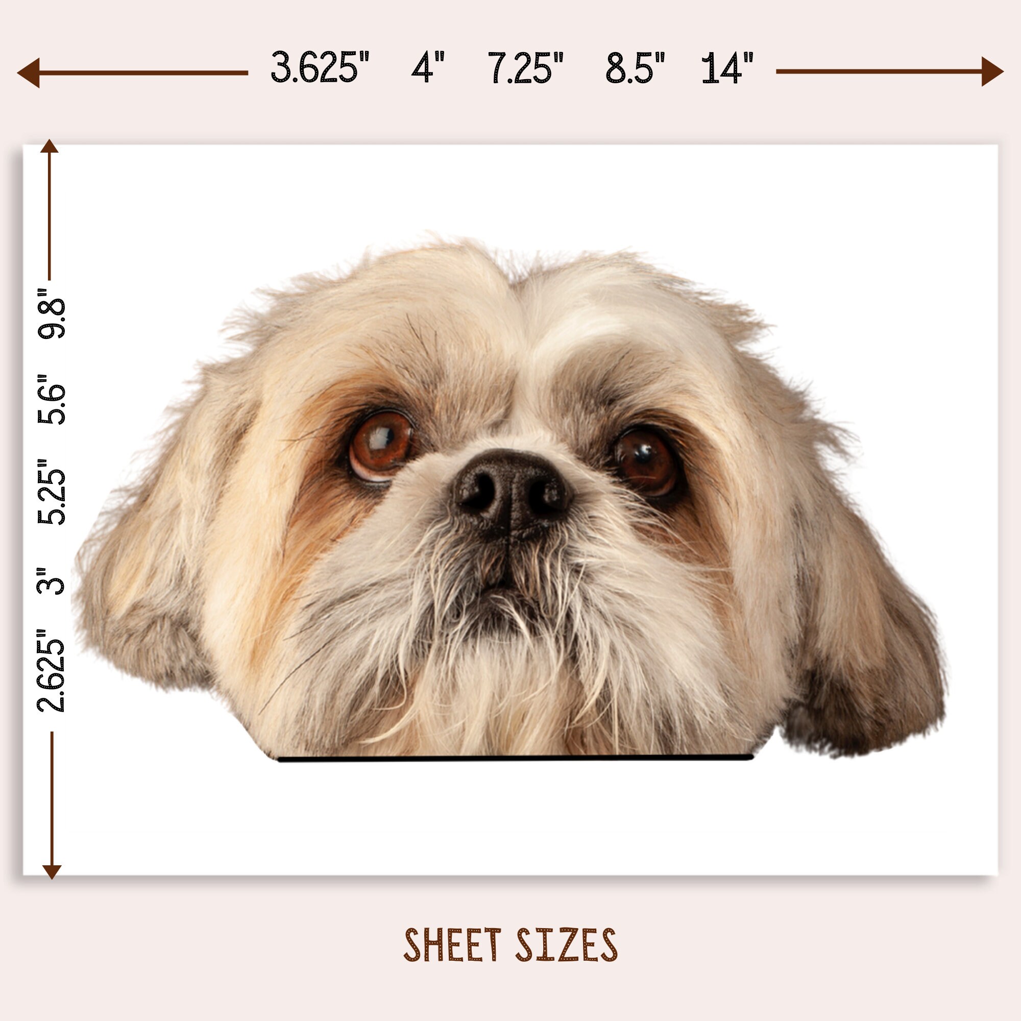 Gold Shih Tzu Car Decal Sticker / Peeking Photo Shih Tzu Dog - Etsy