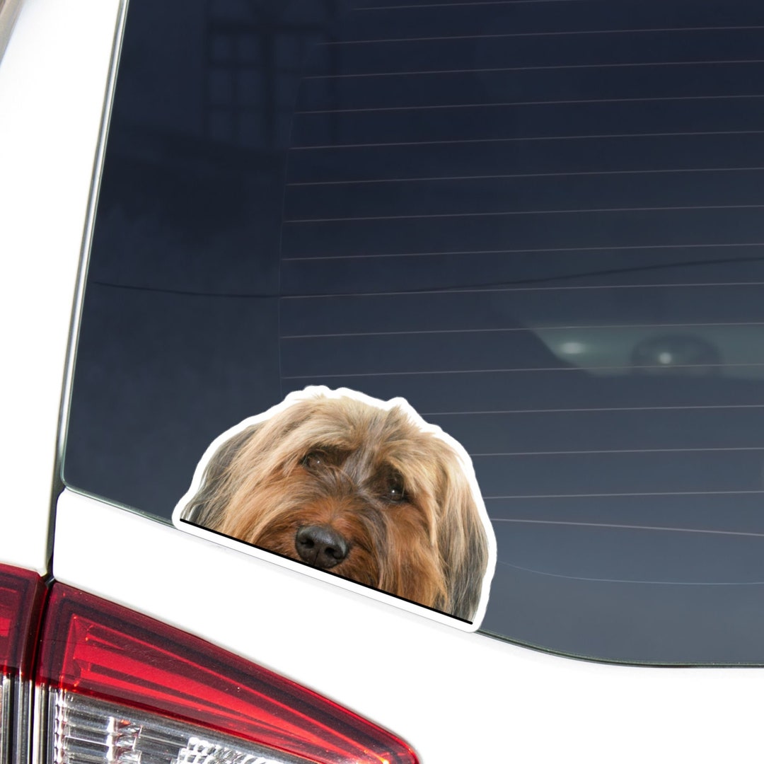 Fawn Red Briard Car Decal Sticker / Peeking Realistic Briard Dog Head ...