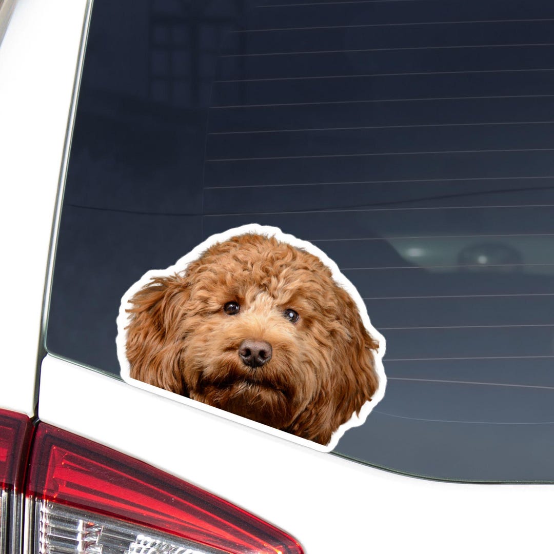 Cockapoo Car Decal: Peeking Red Dog Face, Waterproof Vinyl Sticker ...