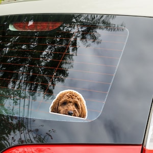 Peeking Cockapoo Car Decal Sticker / Realistic Red Cockapoo Dog Head ...