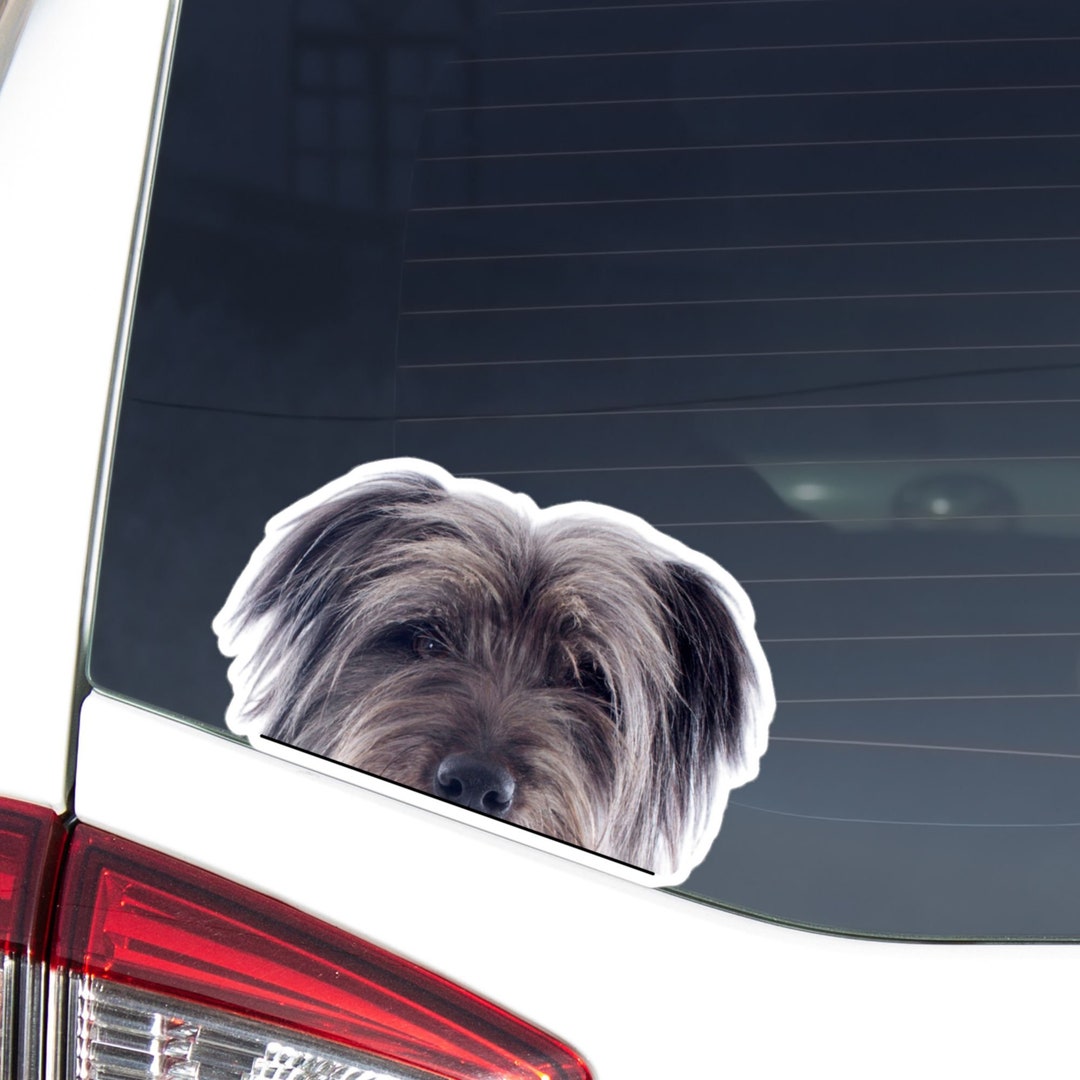 Pyrenean Sheepdog Car Decal: Peeking Dog Head, Waterproof Vinyl Sticker ...