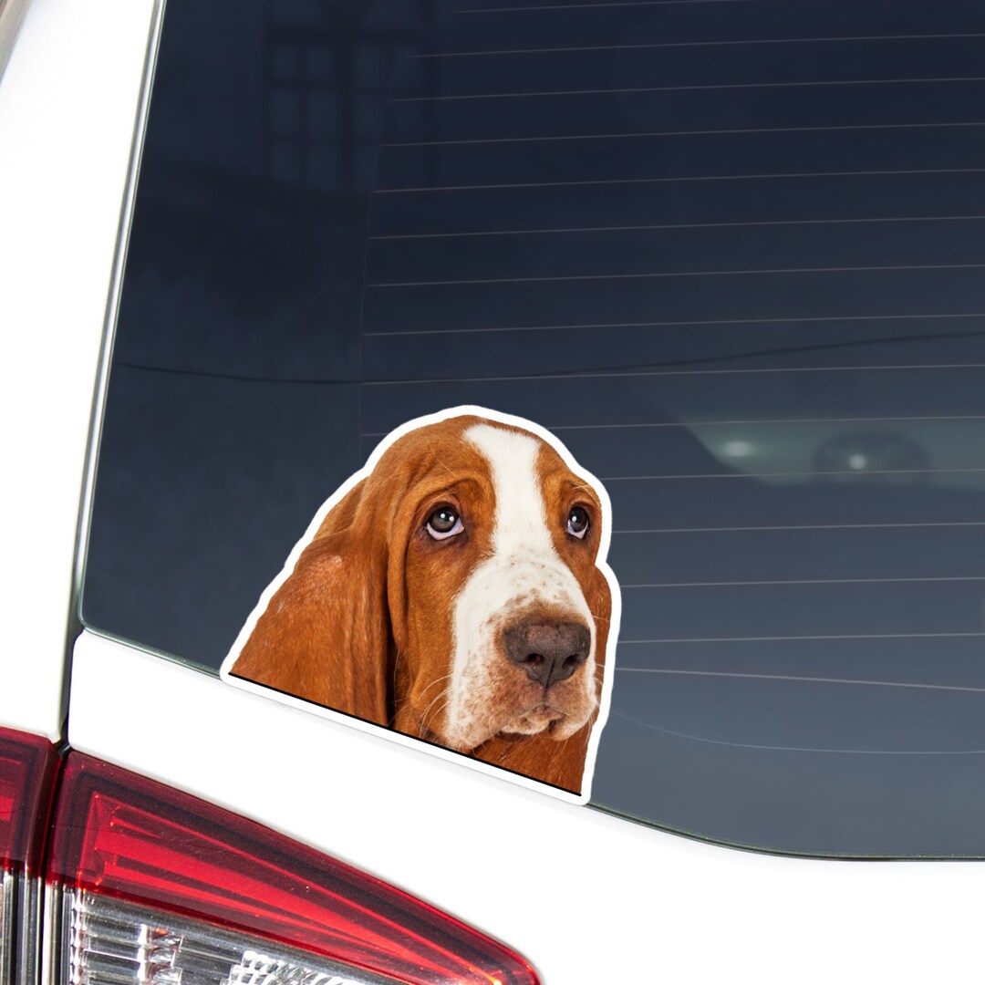 Red&white Basset Hound Car Decal Sticker / Realistic Peeking Dog Head ...