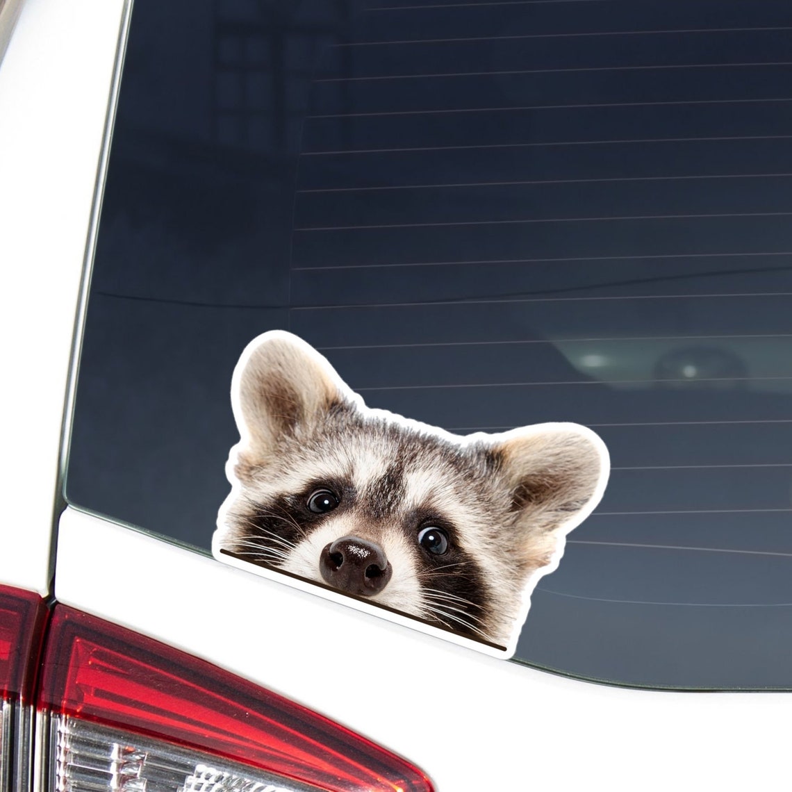 Peeking Raccoon Car Sticker Decal / Funny Raccoon Head Face - Etsy