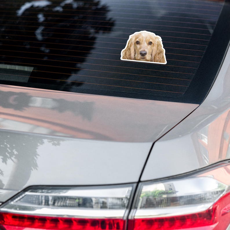 Lemon Cocker Spaniel Car Decal - Peeking Dog Face Waterproof Vinyl ...