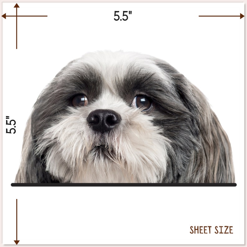 Black&white Shih Tzu Car Sticker Decal / Peeking Realistic - Etsy