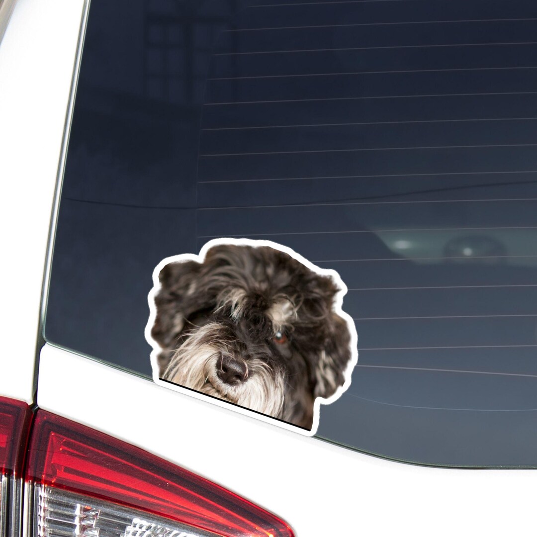 Black&white Mini Schnauzer Car Decal Sticker / Peeking Realistic Dog ...