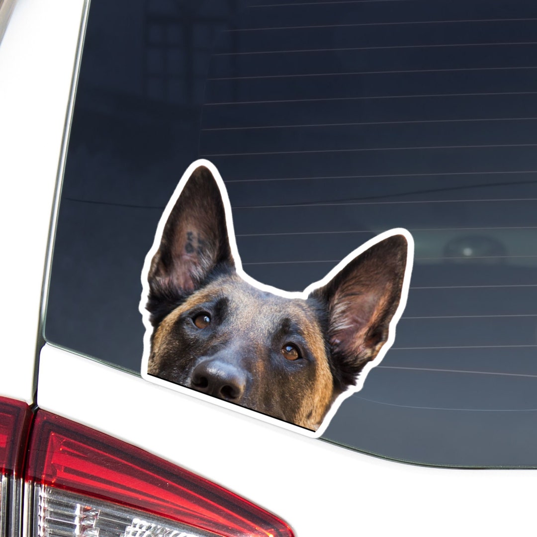 Belgian Malinois Car Decal Sticker / Peeking Realistic Dog Head Face ...