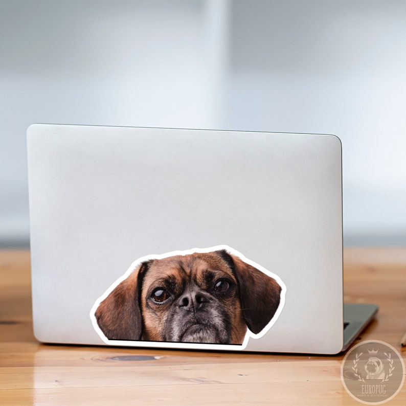 Peeking Red Puggle Car Decal Sticker / Realistic Puggle Dog - Etsy
