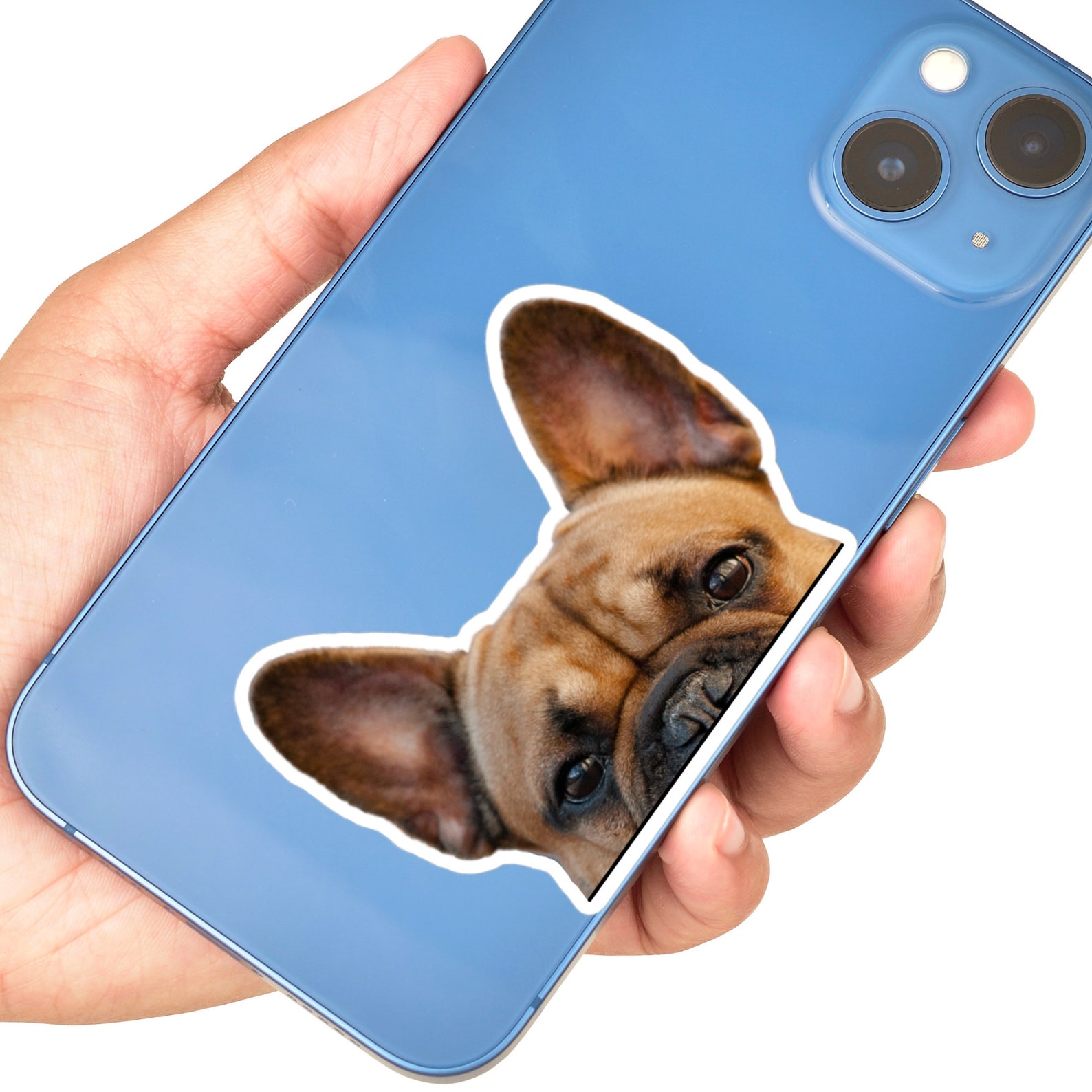 French Bulldog Car Decal - Peeking Fawn & Red Frenchie Dog Sticker ...