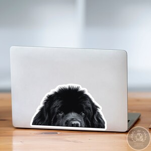 Peeker Newfoundland Car Decal Sticker / Realistic Black Dog Head ...